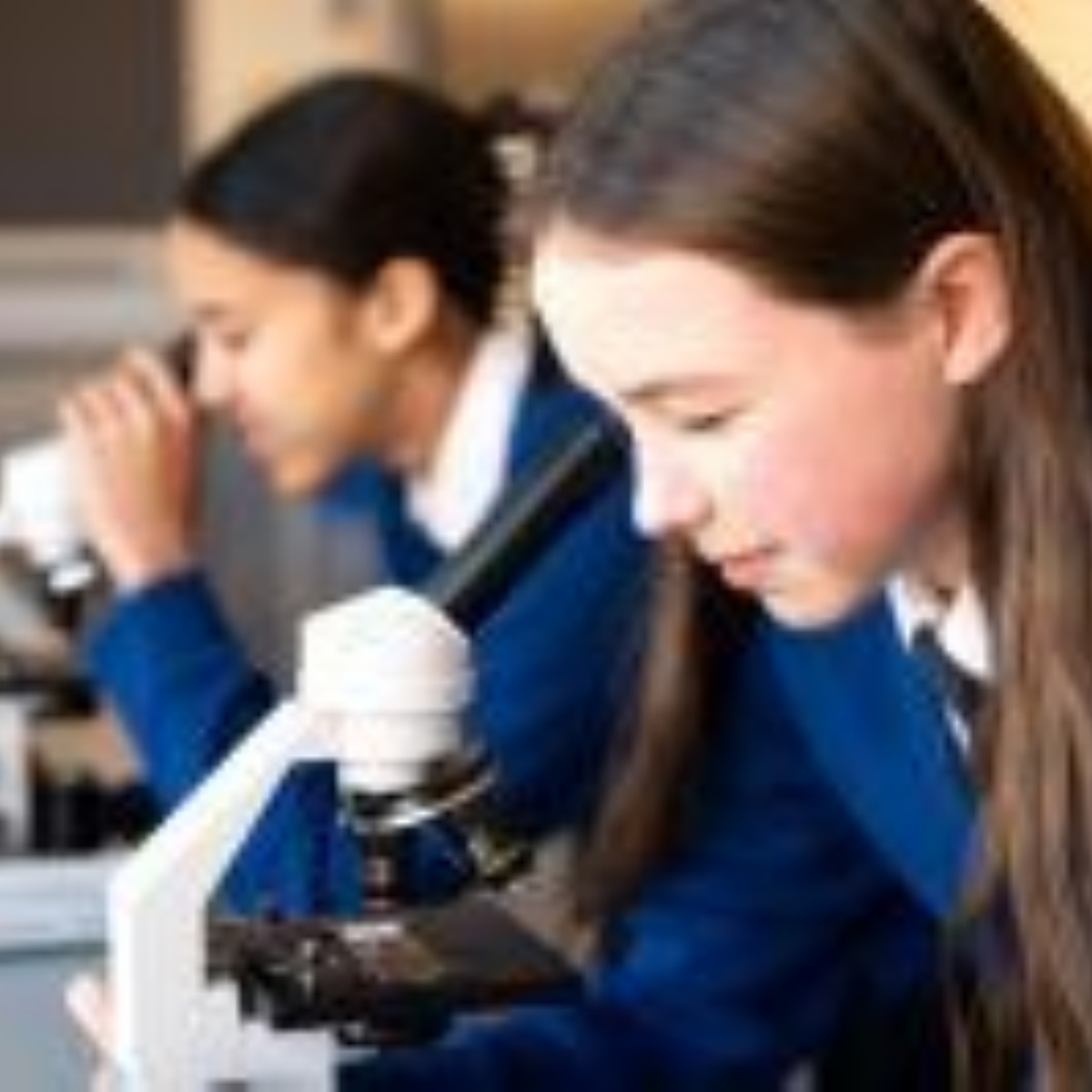 Manor Drive Secondary Academy - Year 9 Options Evening